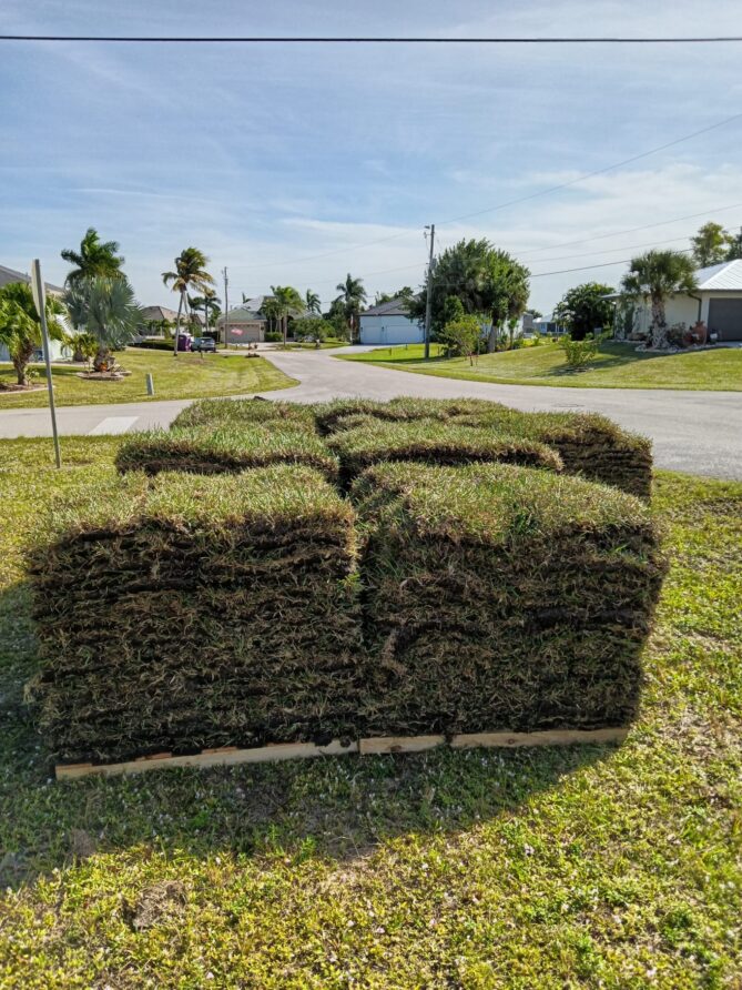 Types of Sod Archives - New Jersey Sod Company