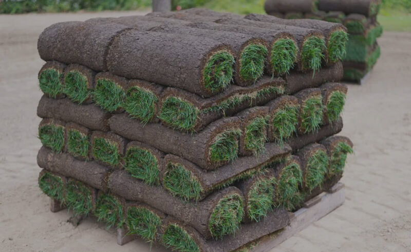 New Jersey Sod Co | Sod Delivery & Sod Installation in New Jersey