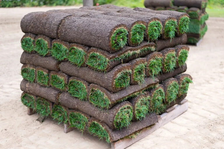 New Jersey Sod Co | Sod Delivery & Sod Installation in New Jersey