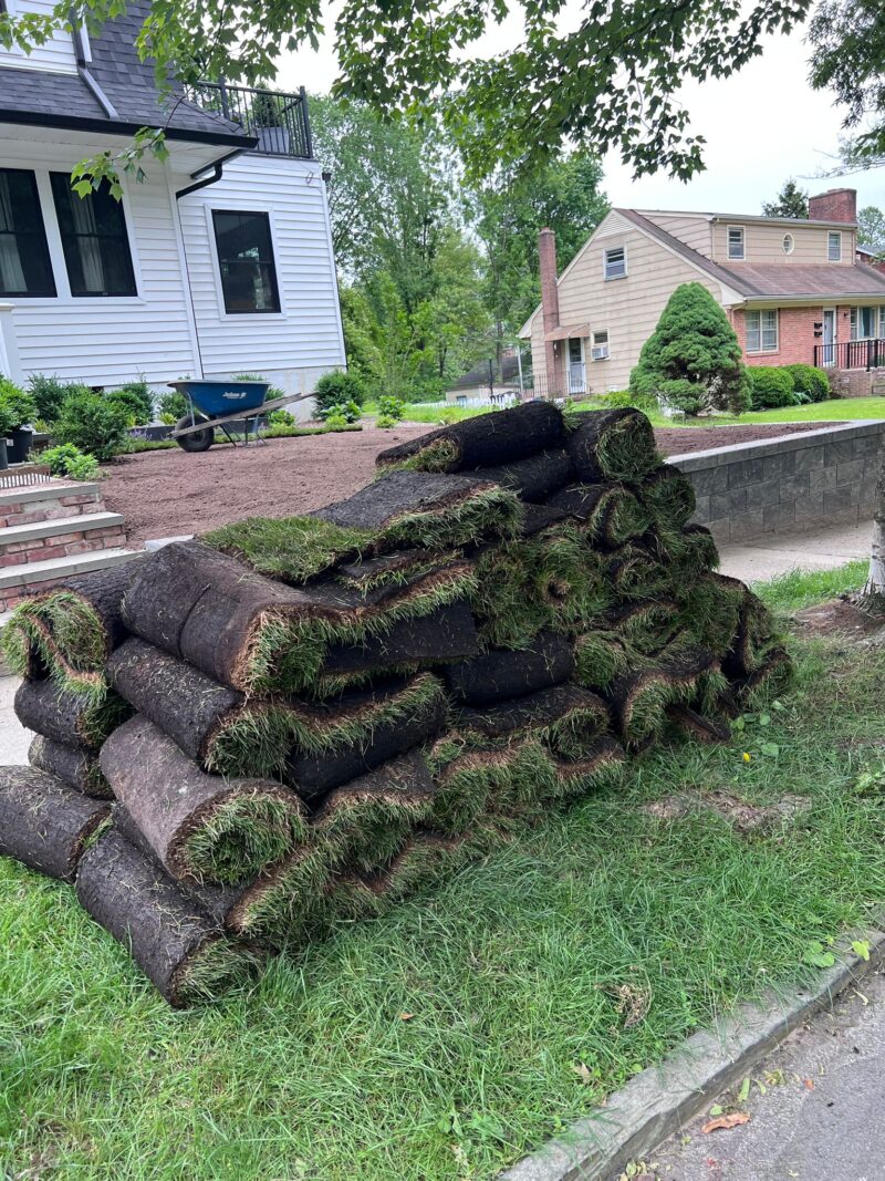 Zoysia Sod Delivery is a Smart Investment for New Jersey Lawns
