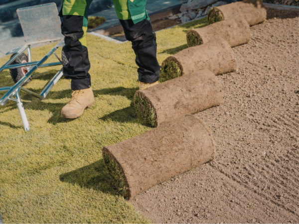 Sod Replacement in New Jersey: When to Remove the Old Lawn and Start ...